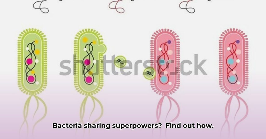 Discover Horizontal Gene Transfer: How Bacteria Share DNA and ...