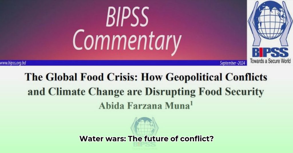 The Global Water Crisis: Tomorrow's Geopolitical Conflicts: A Data ...
