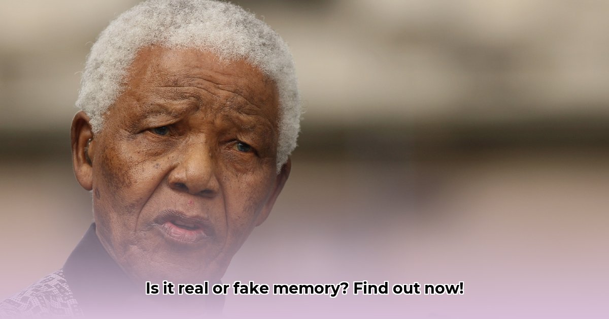 Unraveling the Mandela Effect: Exploring False Collective Memories Now