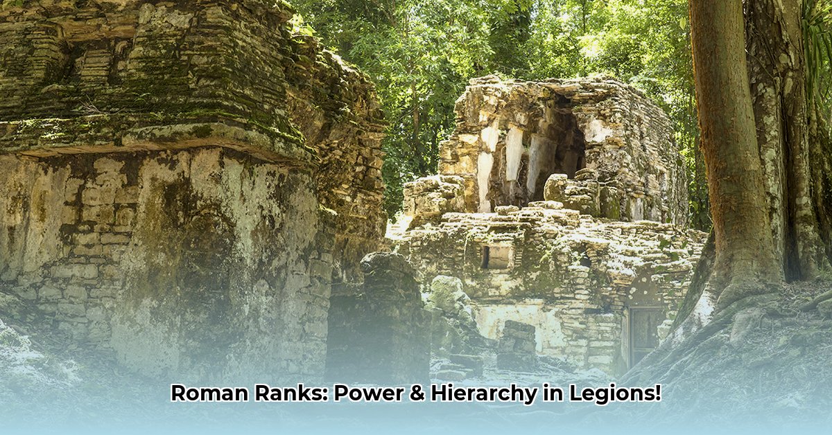 Unlock ancient roman ranks in order today: Understanding hierarchy ...