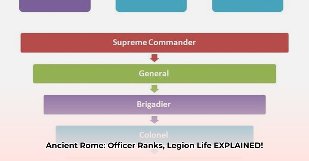 Unpacking Ancient Rome Ranks: Officer Roles, Legion Command & Soldier ...