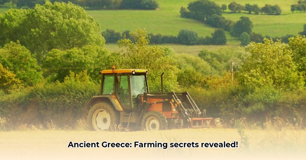 Farming in Ancient Greece: Unveiling a Thriving Economy