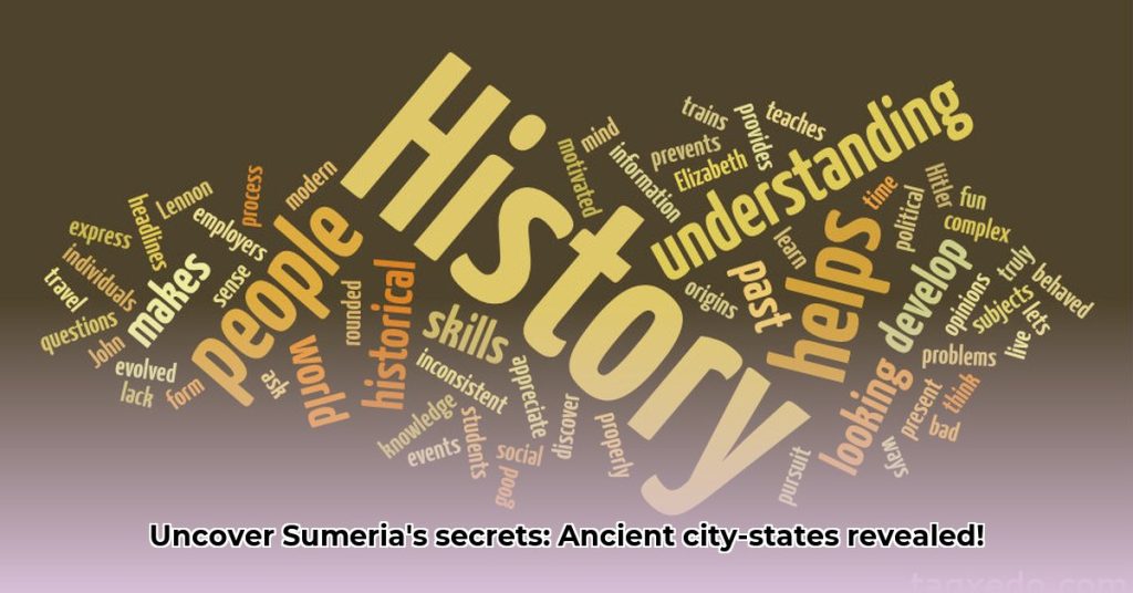 Discover History Alive Ancient World: Sumerian Rise to City-States