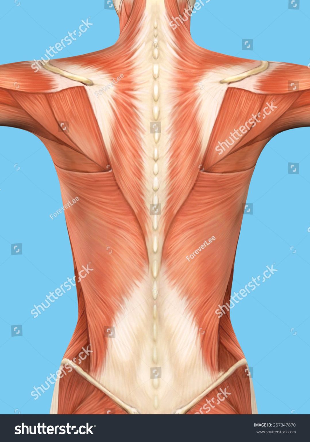 Back in 1959 Facts About a Transformative Year