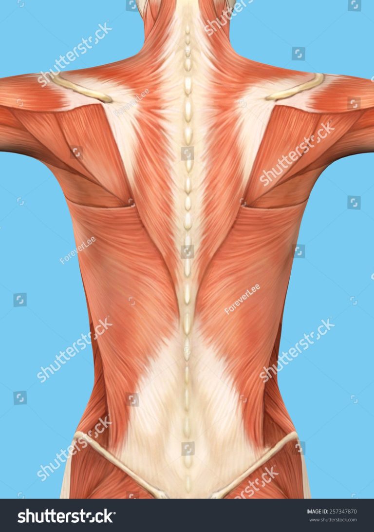 Back in 1959 Facts About a Transformative Year