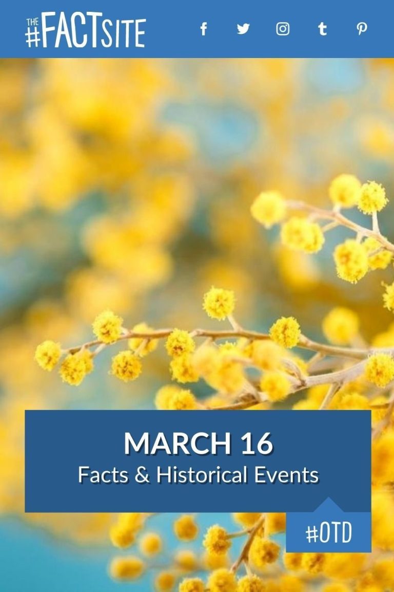 Historical Events in March That Shaped Our World