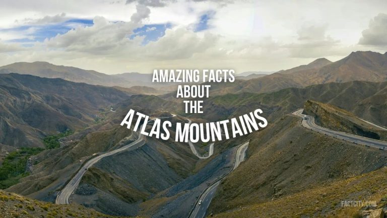 Historic Events That Happened In 1988 Left Lasting Impacts