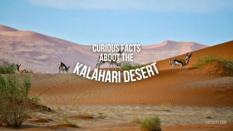 1992 Marked Major Political, Cultural, and Technological Transformations