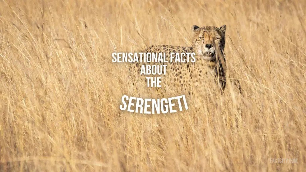 1995 America Saw Oklahoma City Terror and Landmark Trial