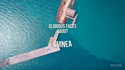 Major Events Of 1994 Impacted Pop Culture, Politics, And Crime