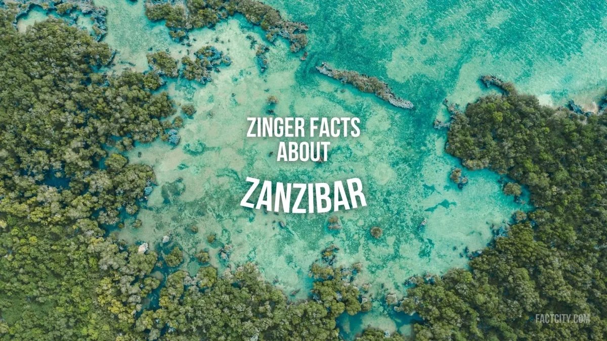 What Major Events Shaped 1995 Across the Globe?